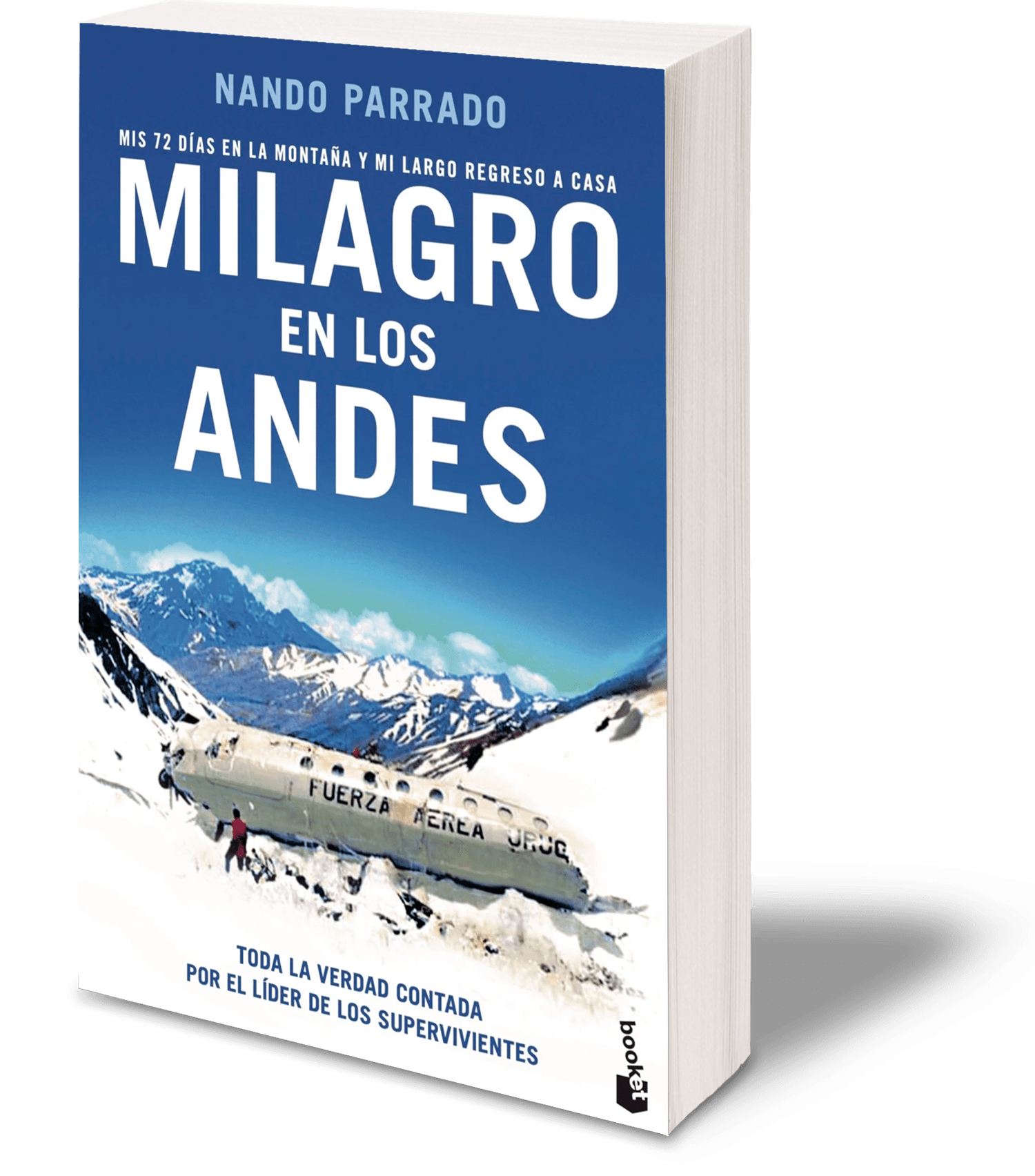 Resumen del libro Milagro En Los Andes - Plumaylibros